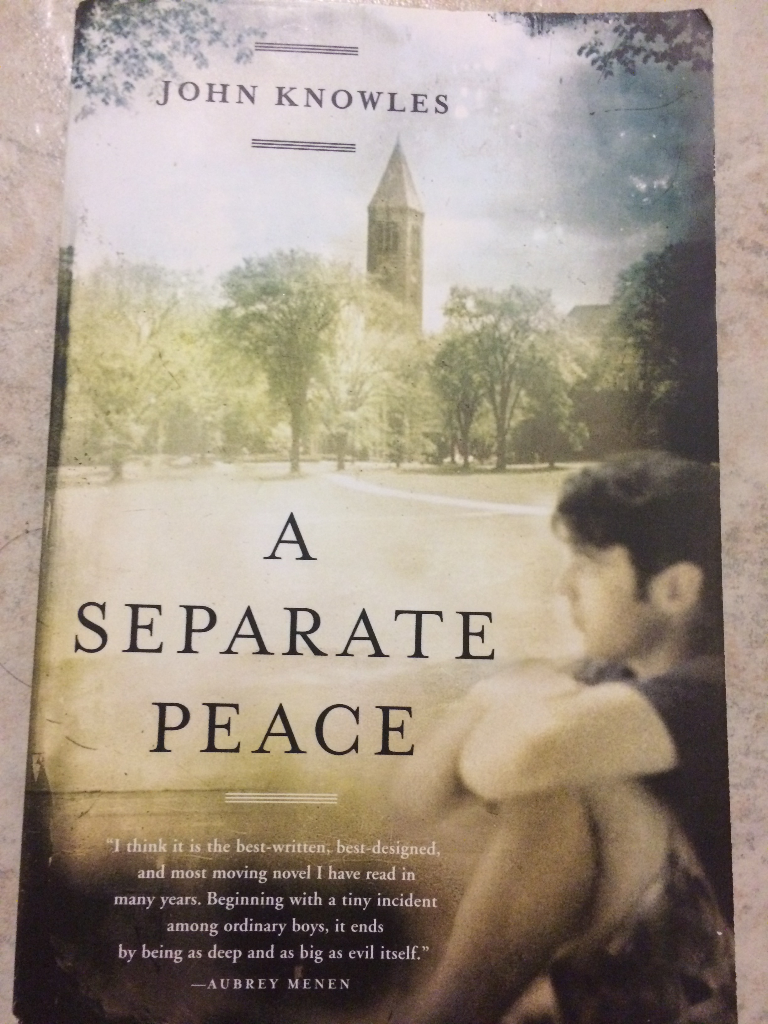 24 Book Challenge: A Book From a Banned Books List – The Ameri Brit Mom