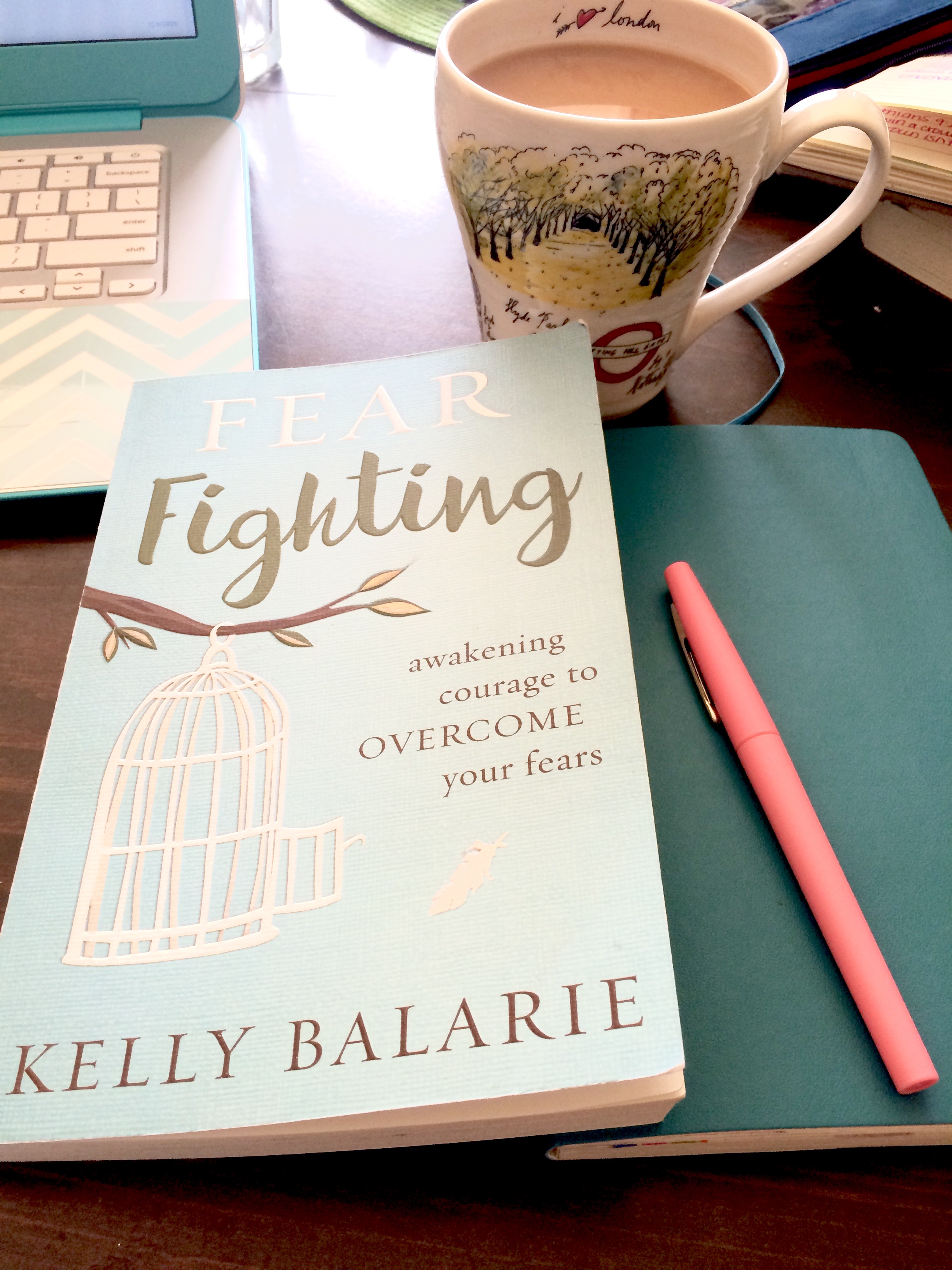 Fear Fighting Review – The Ameri Brit Mom