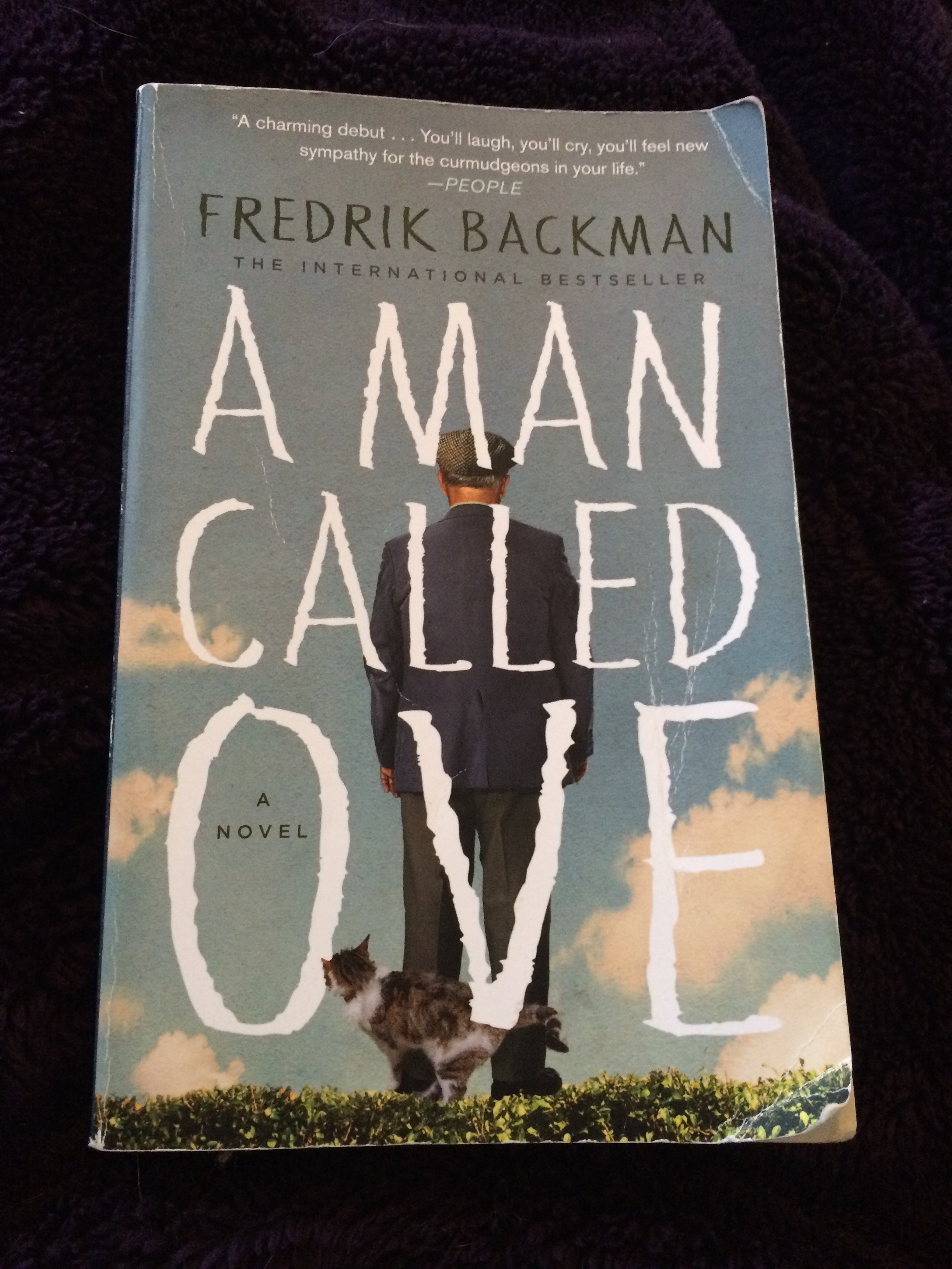 A Man Called Ove: A Book Review – The Ameri Brit Mom